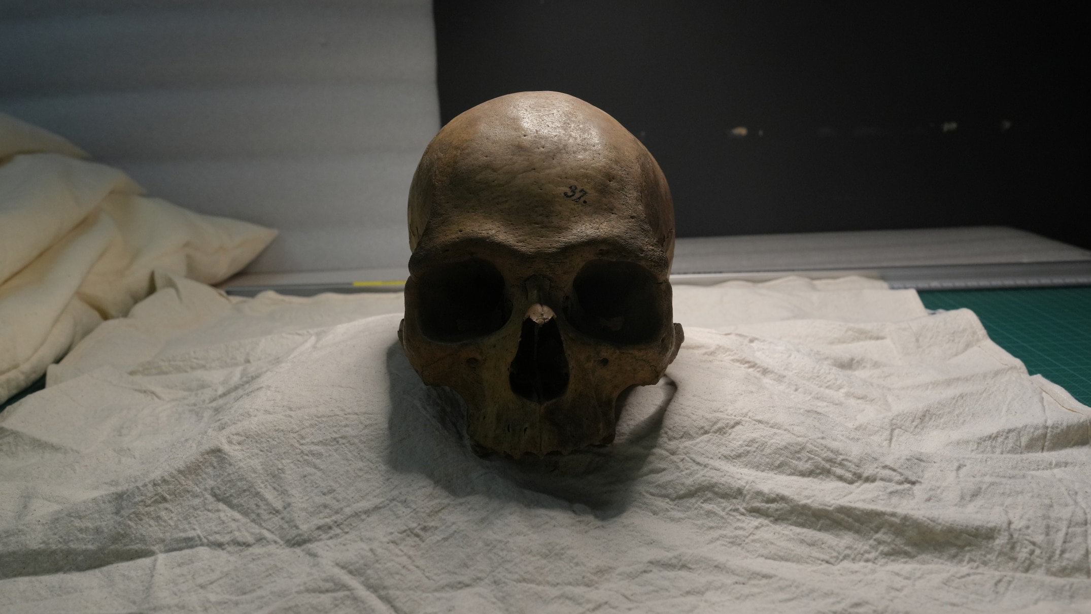 Human skulls taken for scientific research in 1800s returned to Papua ...