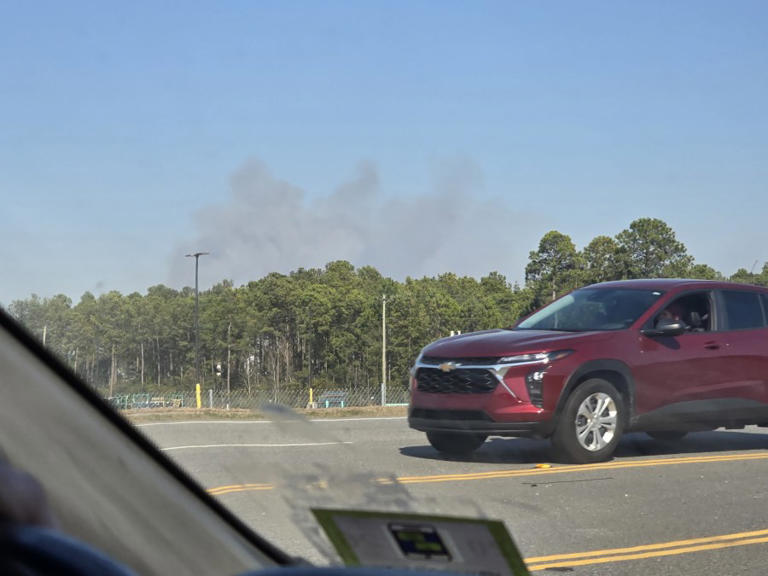 ‘I’m very scared’: Massive wildfire threatens dozens of Carolina Forest homes as neighborhoods ...