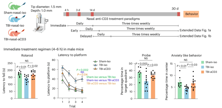 Revolutionary nasal spray transforms traumatic brain injury treatment