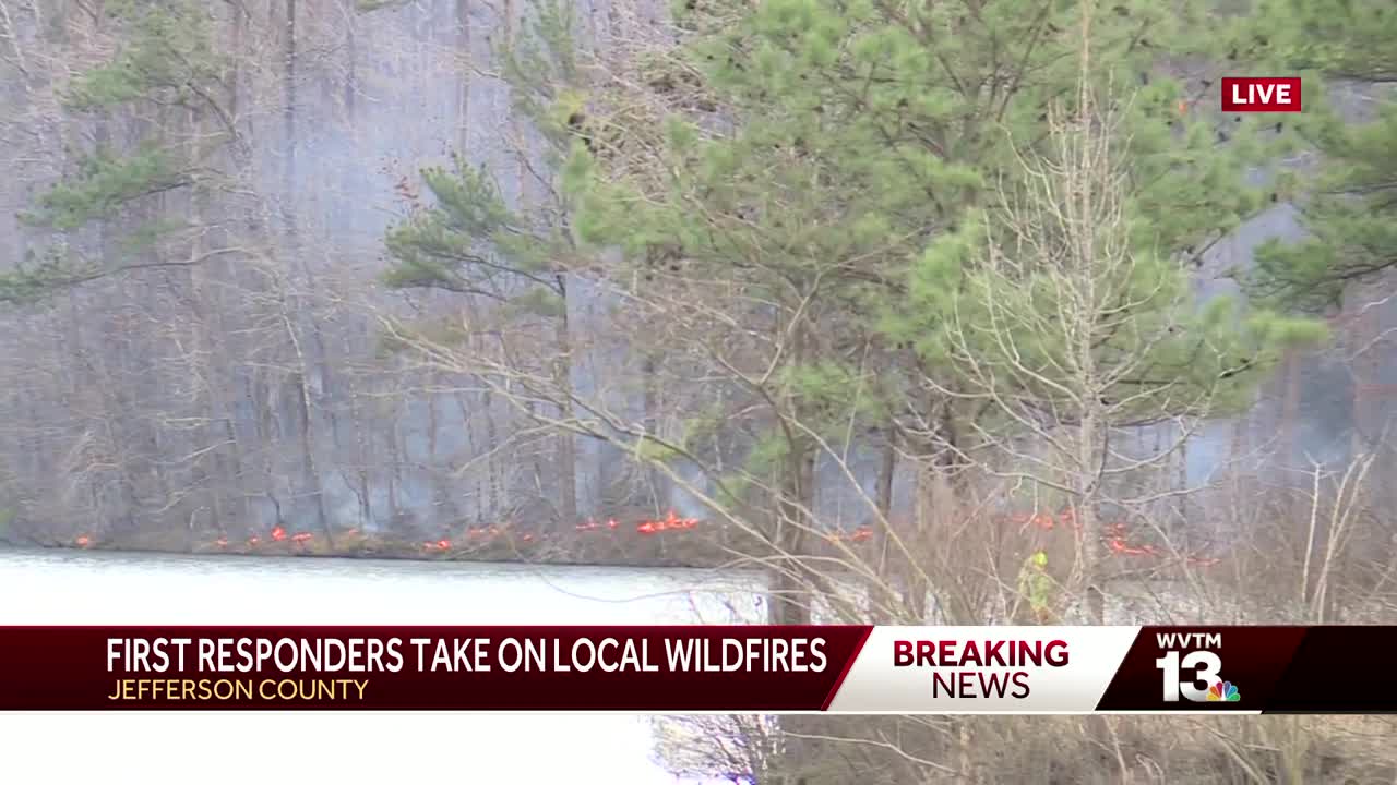 Numerous wildfires burn in Jefferson County and many Alabama counties