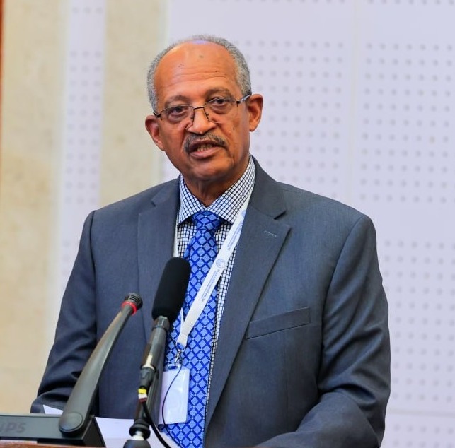 Ethiopia's Adwa Victory, GERD Showcase the Heroism and Success of Its ...