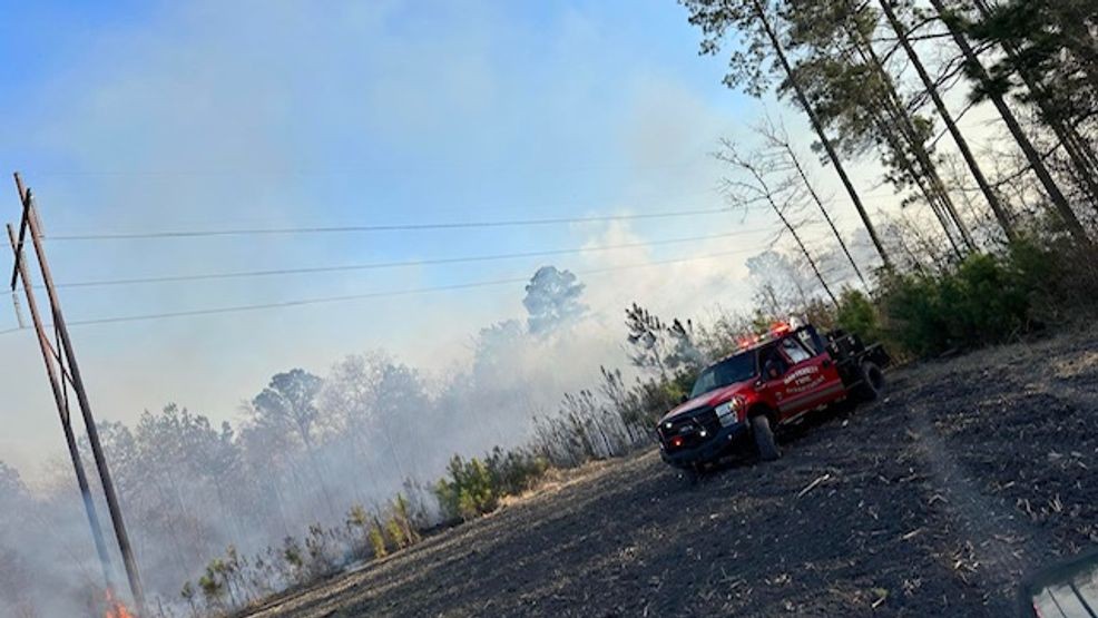 77 acres burned in Darlington County woods fire