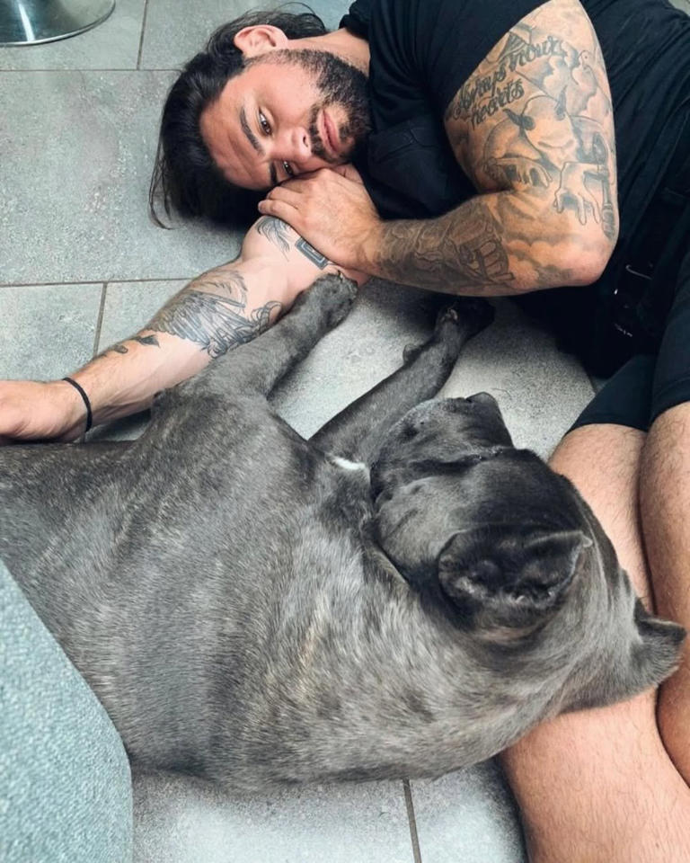 Meet new Gladiators Cyclone and Hammer joining 2025 line-up as hit BBC ...