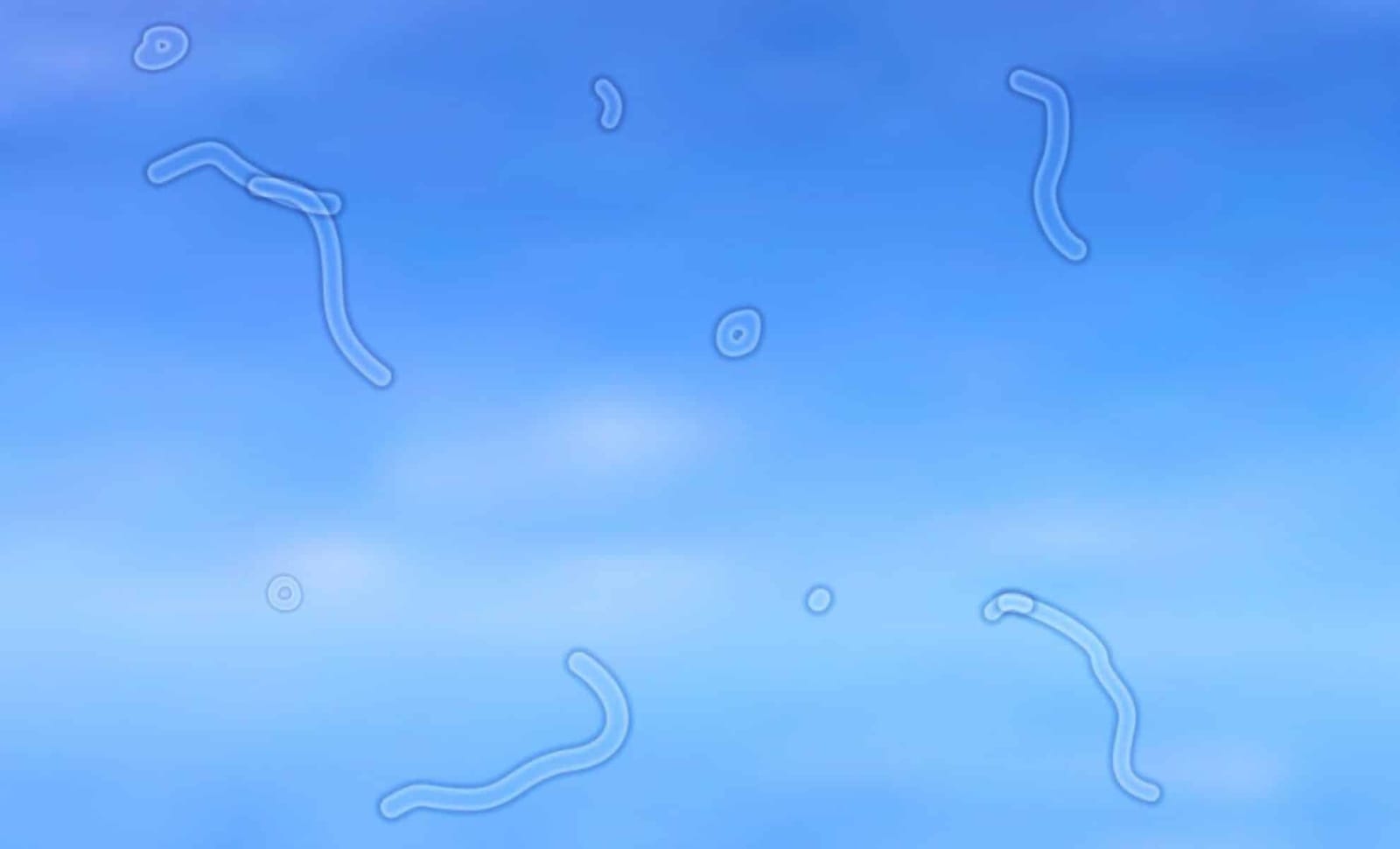 What Are These Strange Floating Bodies That Seem to Settle In Our Field ...