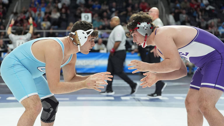 Wrestling: Fox Lane's Alex Berisha wins state 215 pound title