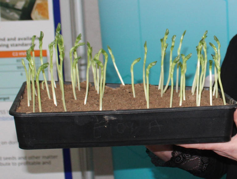 Technology and new science continue to drive agriculture forwards