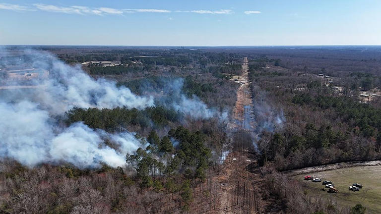 NC Forest Service reports multiple active ENC wildfires, no containment yet