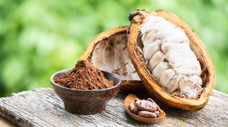 Cacao Fruit Can Be Used For A Lot More Than Dessert