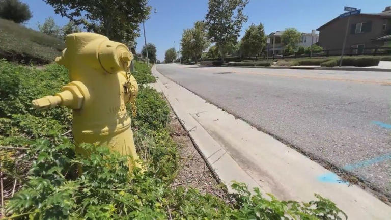 LAFD took months to alert city that fire hydrants needed repairs: report