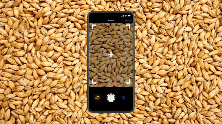 Technology and new science continue to drive agriculture forwards