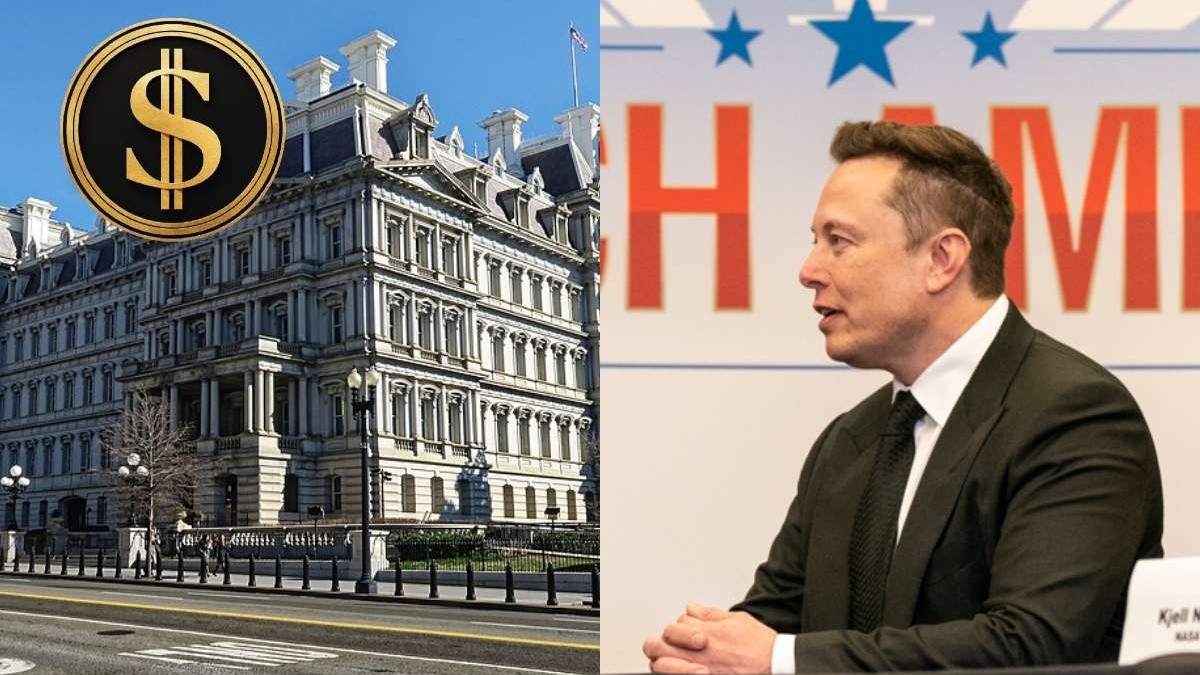 DOGE employees work 120 hours? Musk talks about efficiency