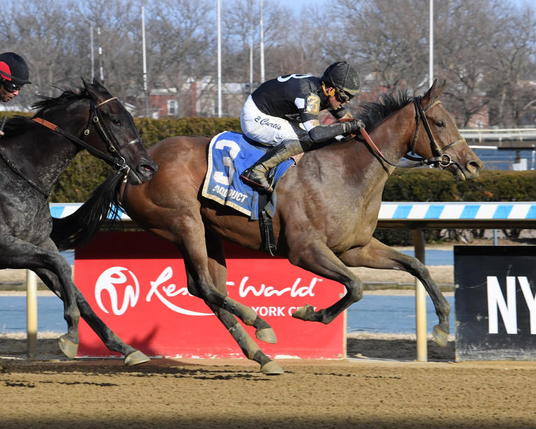 Determined Drexel Hill Proves Best In Busher