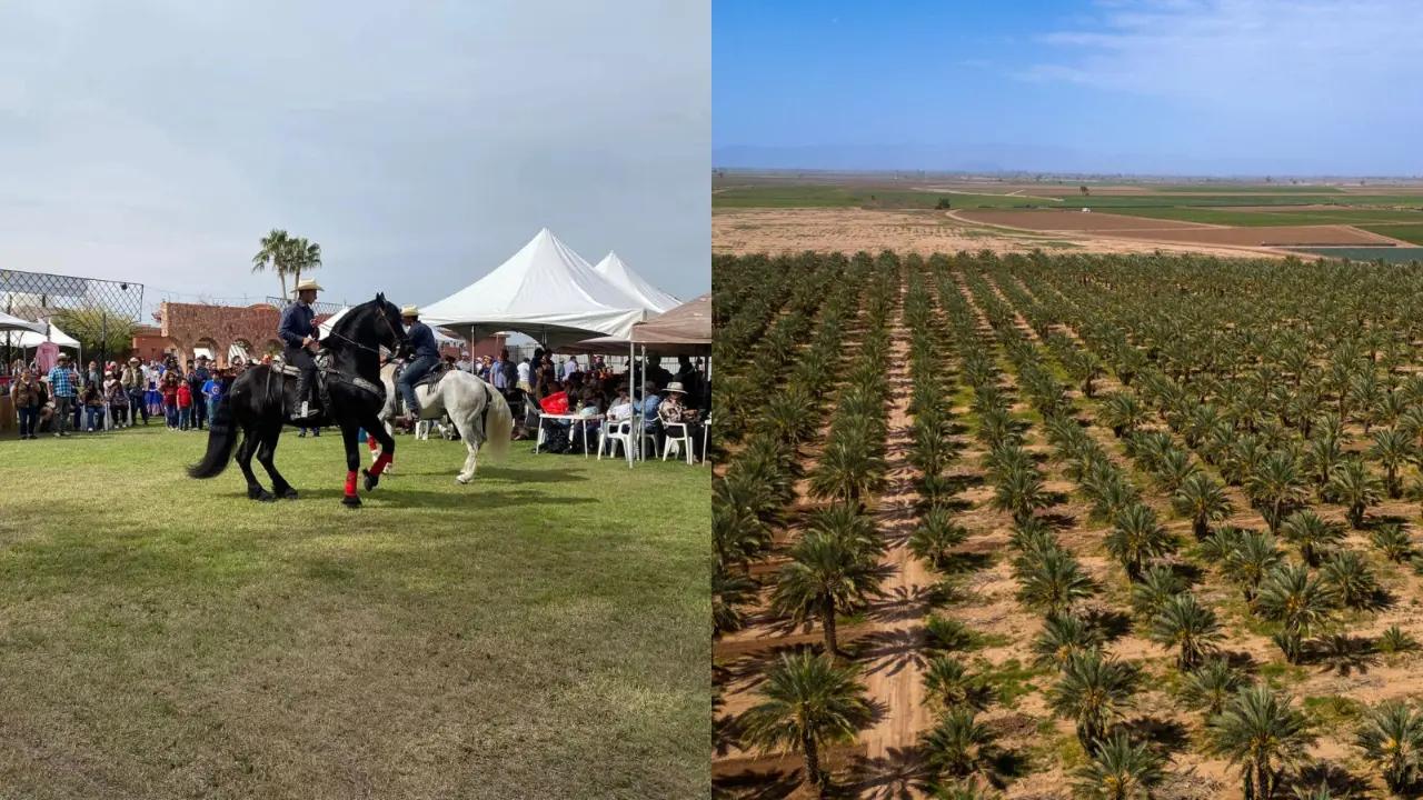 Experience a Culinary Adventure at the Festival Gastronómico del Valle ...