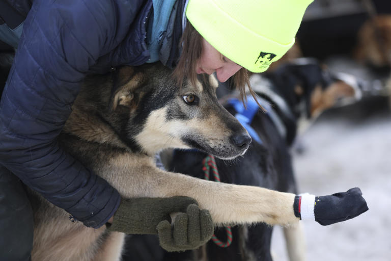 The world's most famous sled dog race is longer than ever. Here's a ...