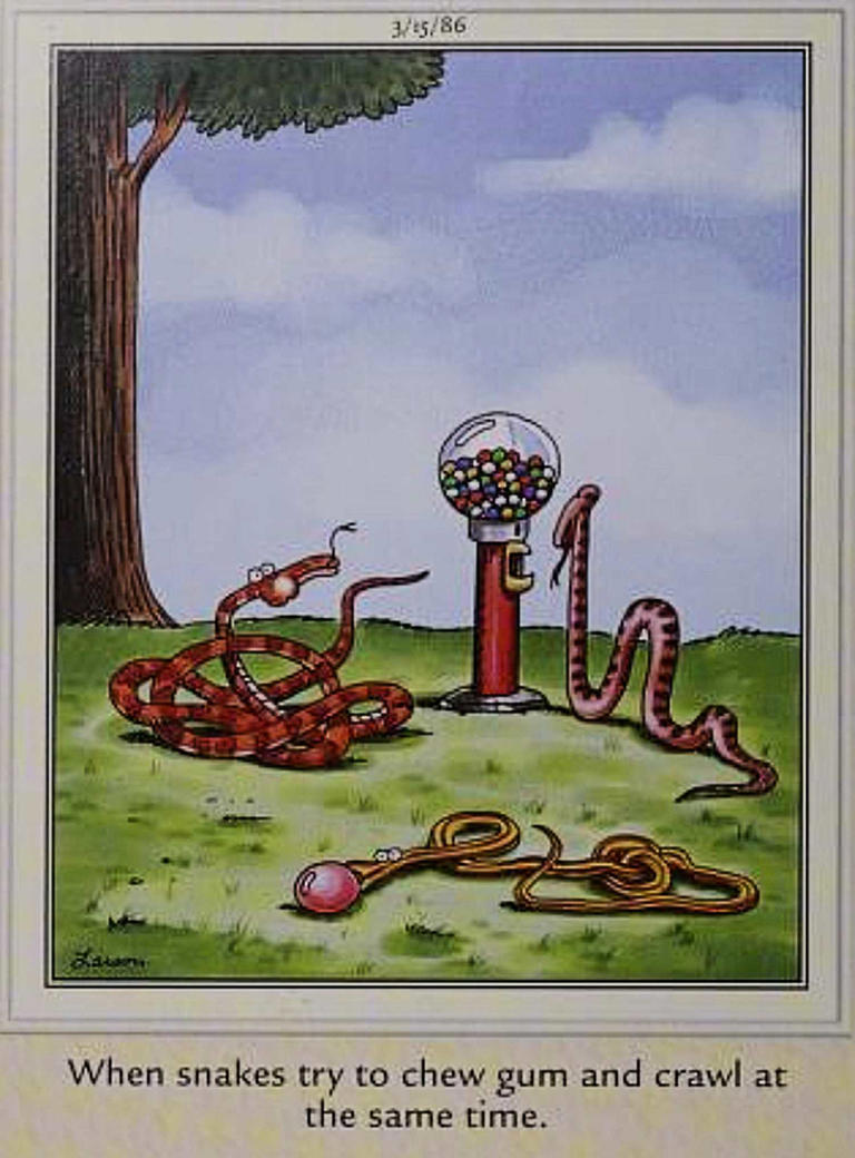 10 Funniest Far Side Comics Even Your Kids Will Laugh At