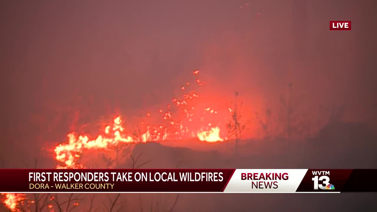 Numerous wildfires burn in Jefferson County and many Alabama counties