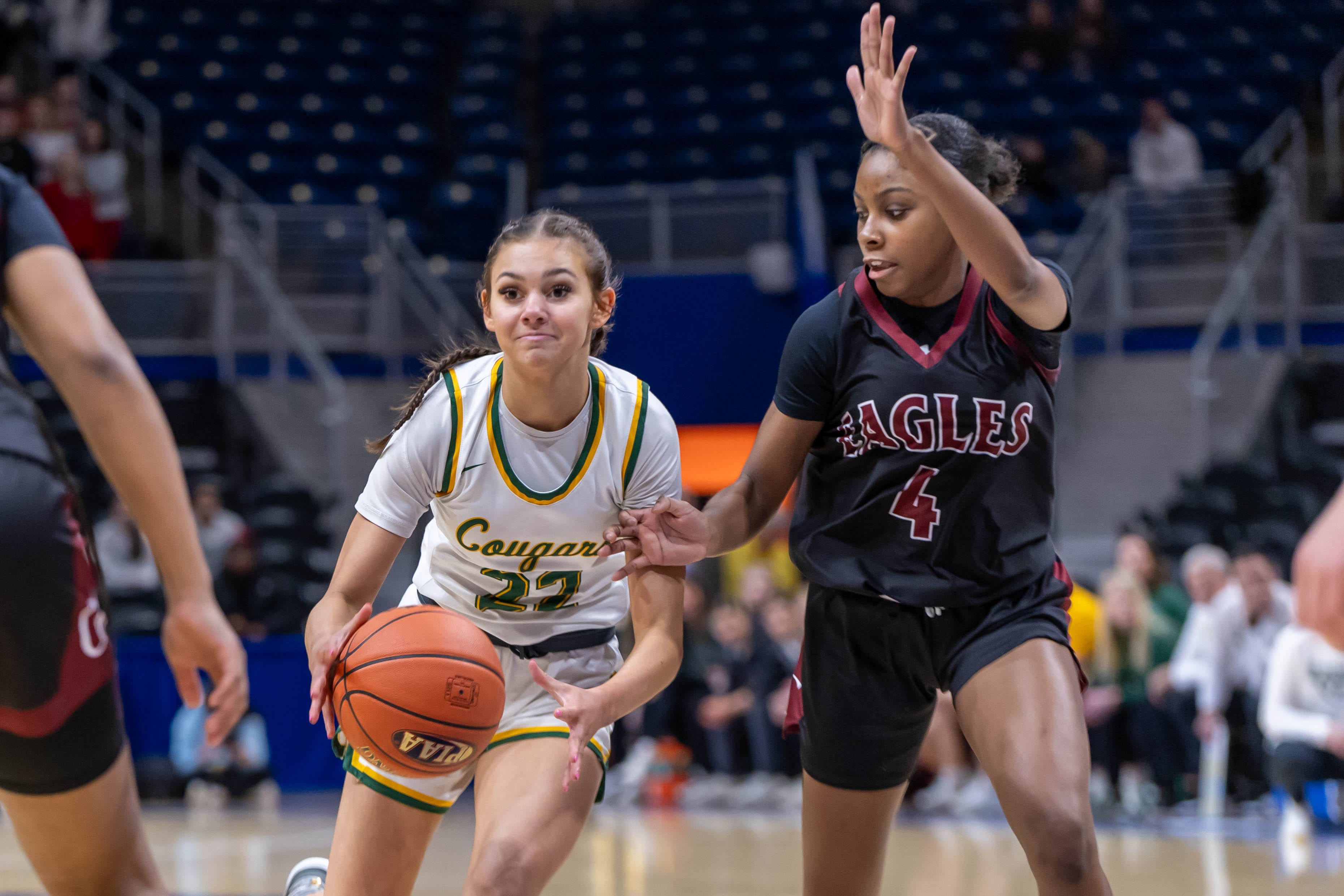 Late offensive foul call hurts Blackhawk basketball, falls in WPIAL 4A ...