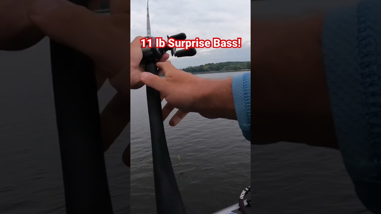Fish of a lifetime destroys swimbait in a single strike