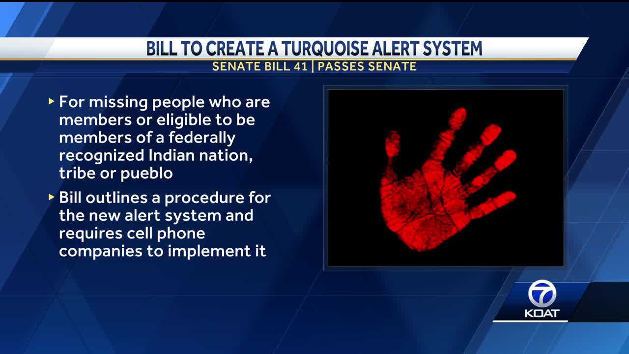 Turquoise Alert Bill passes Senate unanimously