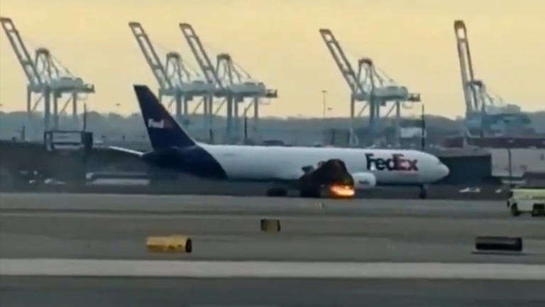 FedEx Cargo Plane Makes Emergency Landing After Bird Strike Sparks ...