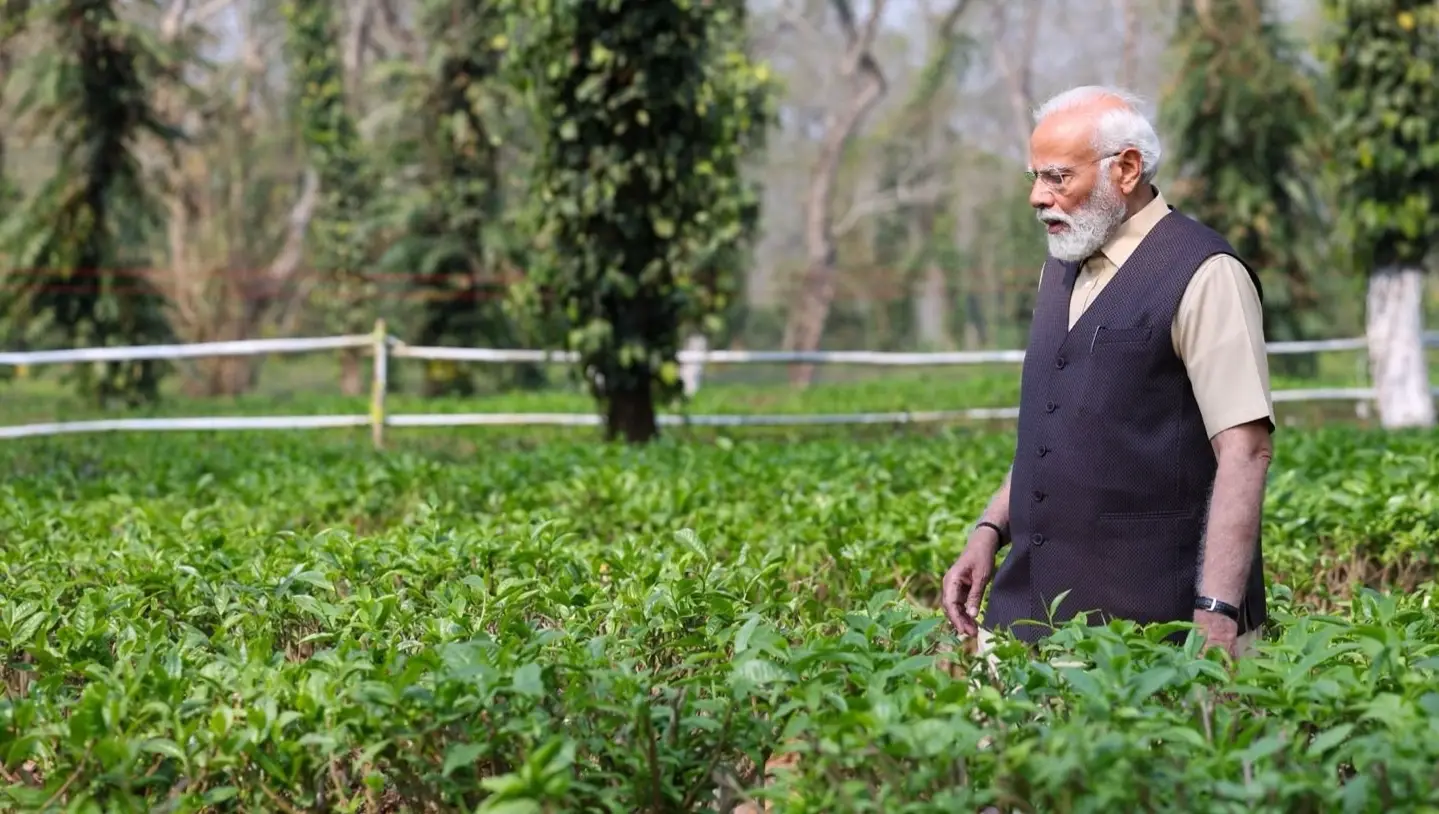 PM Modi Gujarat Visit: प्रधानमंत्री मोदी ने जामनगर में वनतारा पशु ...