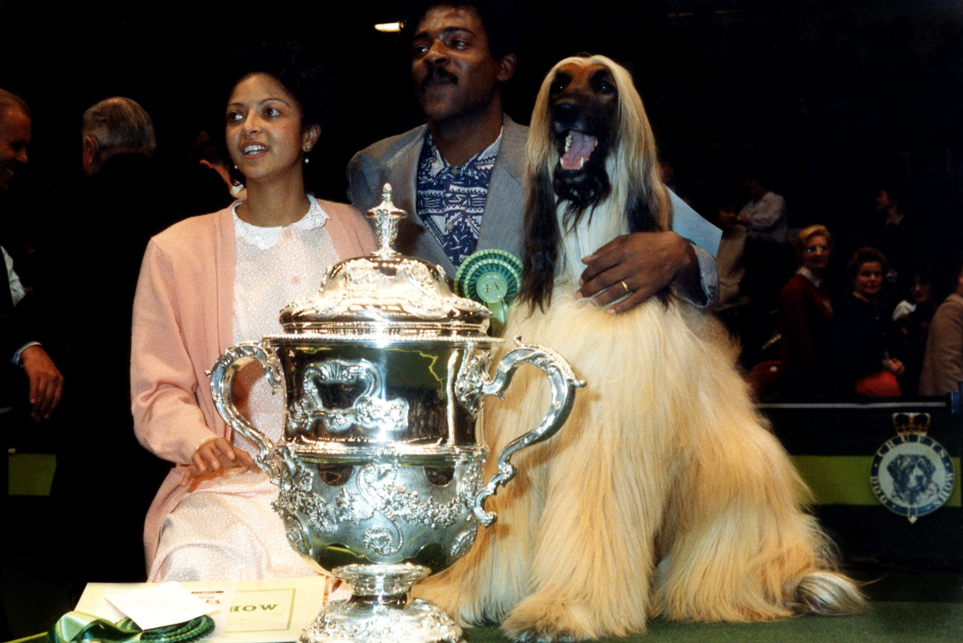 Most expensive dogs 2025: These are the most expensive breeds at Crufts ...
