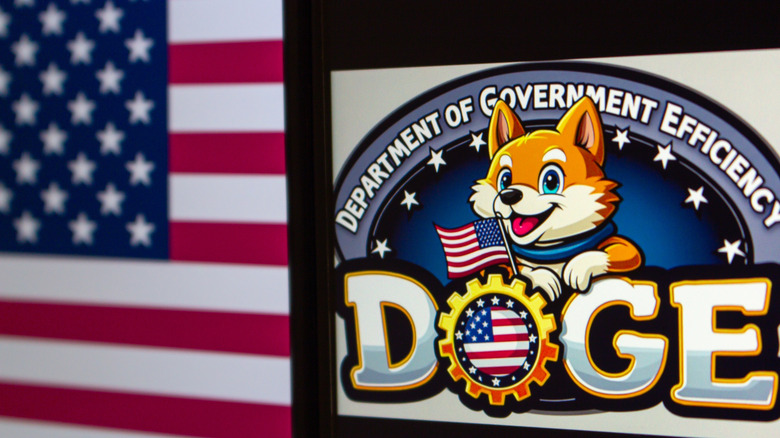Fact Check: Is DOGE Actually Sending Out Stimulus Checks To Americans?