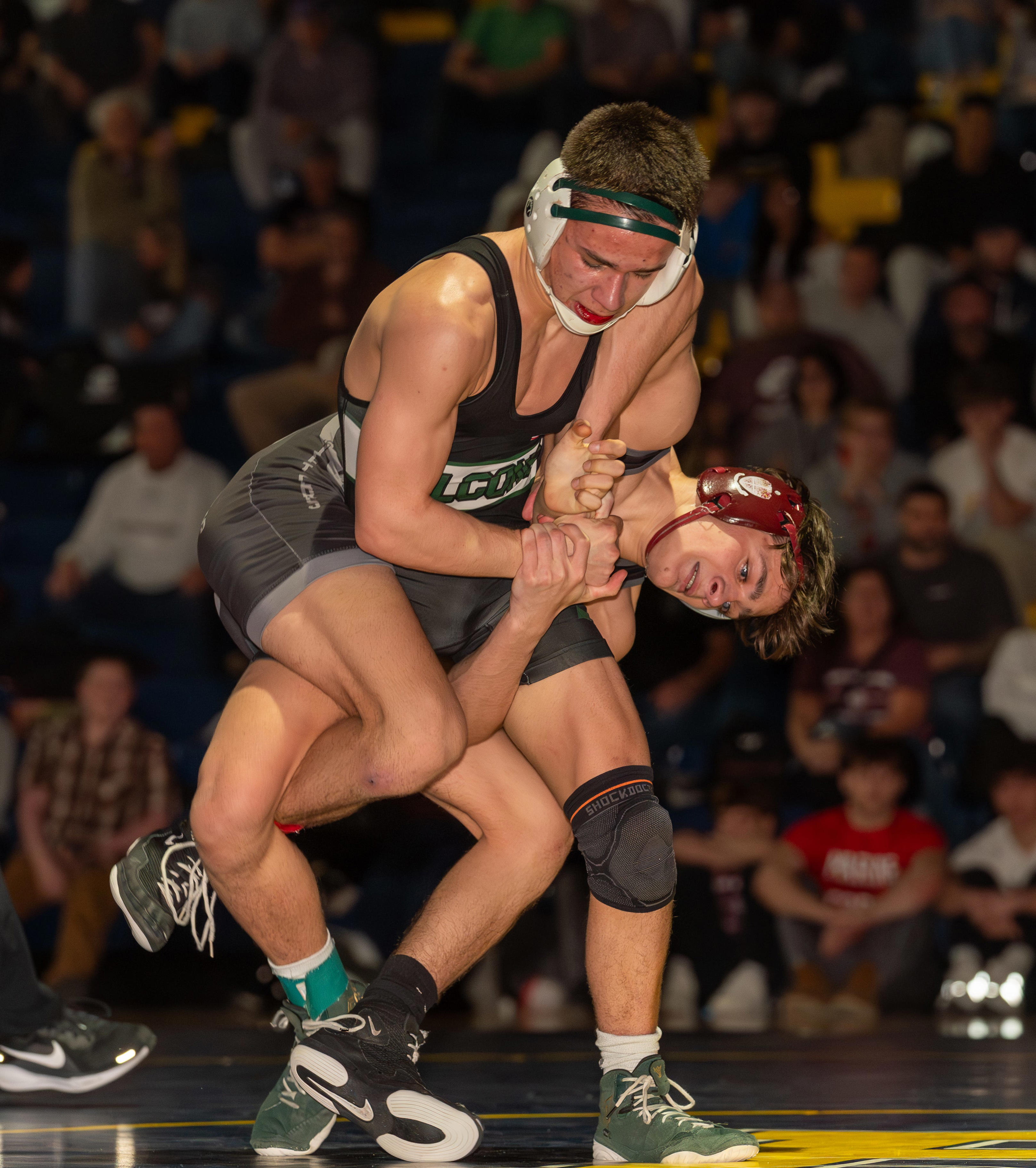 Wrestling: State qualifiers from Region 5