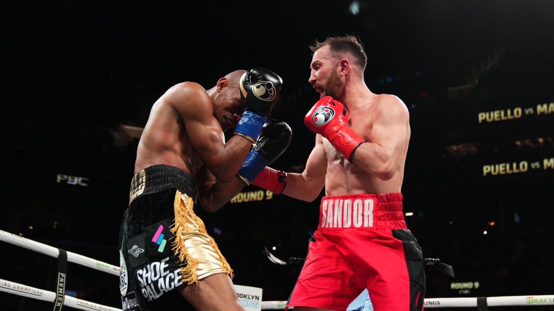 Alberto Puello retains WBC title with split decision over Sandor Martin