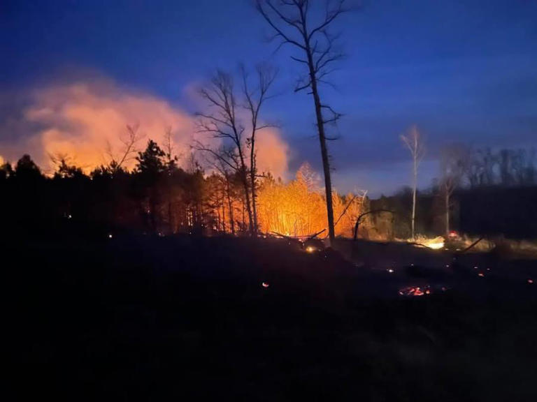 Multiple wildfires flare up across Upstate