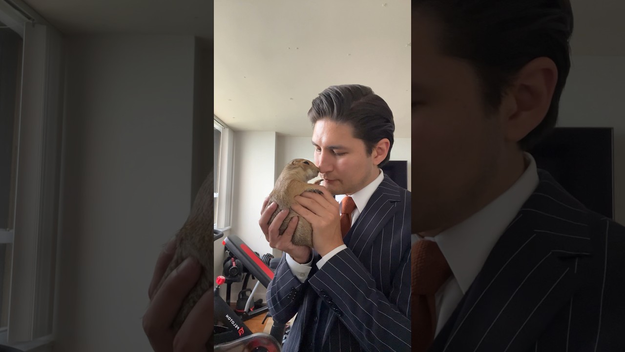 Prairie dog acts sweetly just before snack time