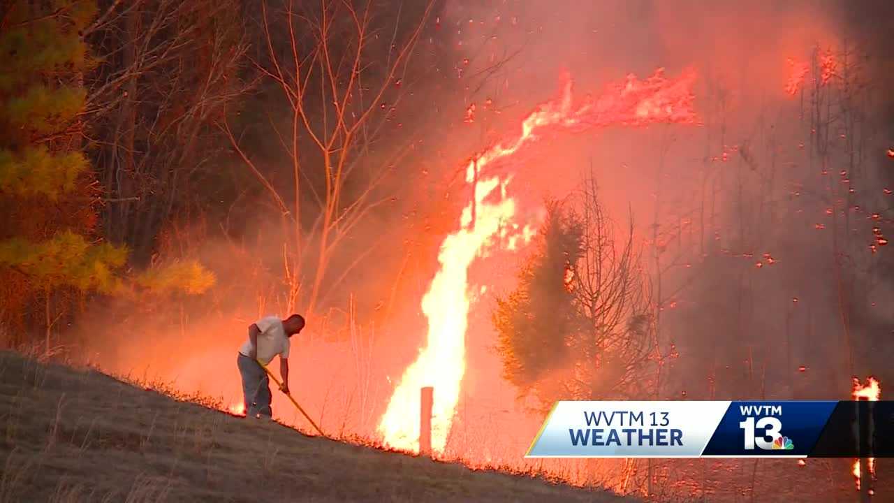 'I'm devastated': Dora residents fear accidentally starting wildfire ...