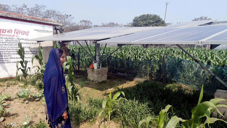 Women farmers in Bihar turn to solar pumps, overcoming patriarchy and ...