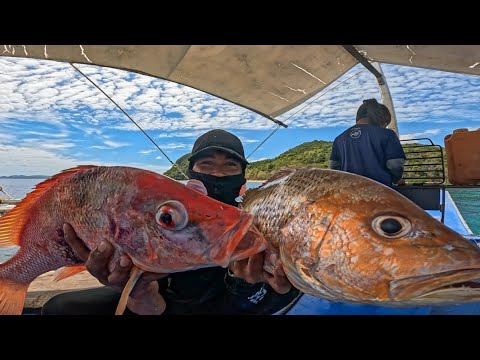 Feast Time! Cooking First-Class, Giant Fish for Lunch!