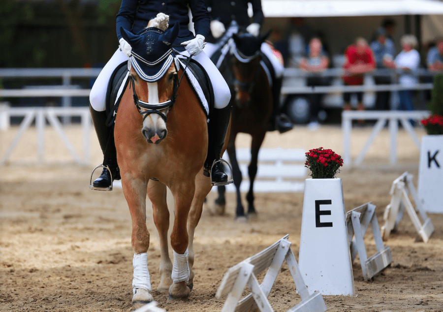 Dressage judges answer: how can I improve my test score?