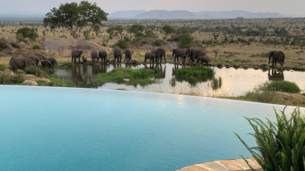 The World's 10 Most Extravagant Pools You Won't Believe Exist