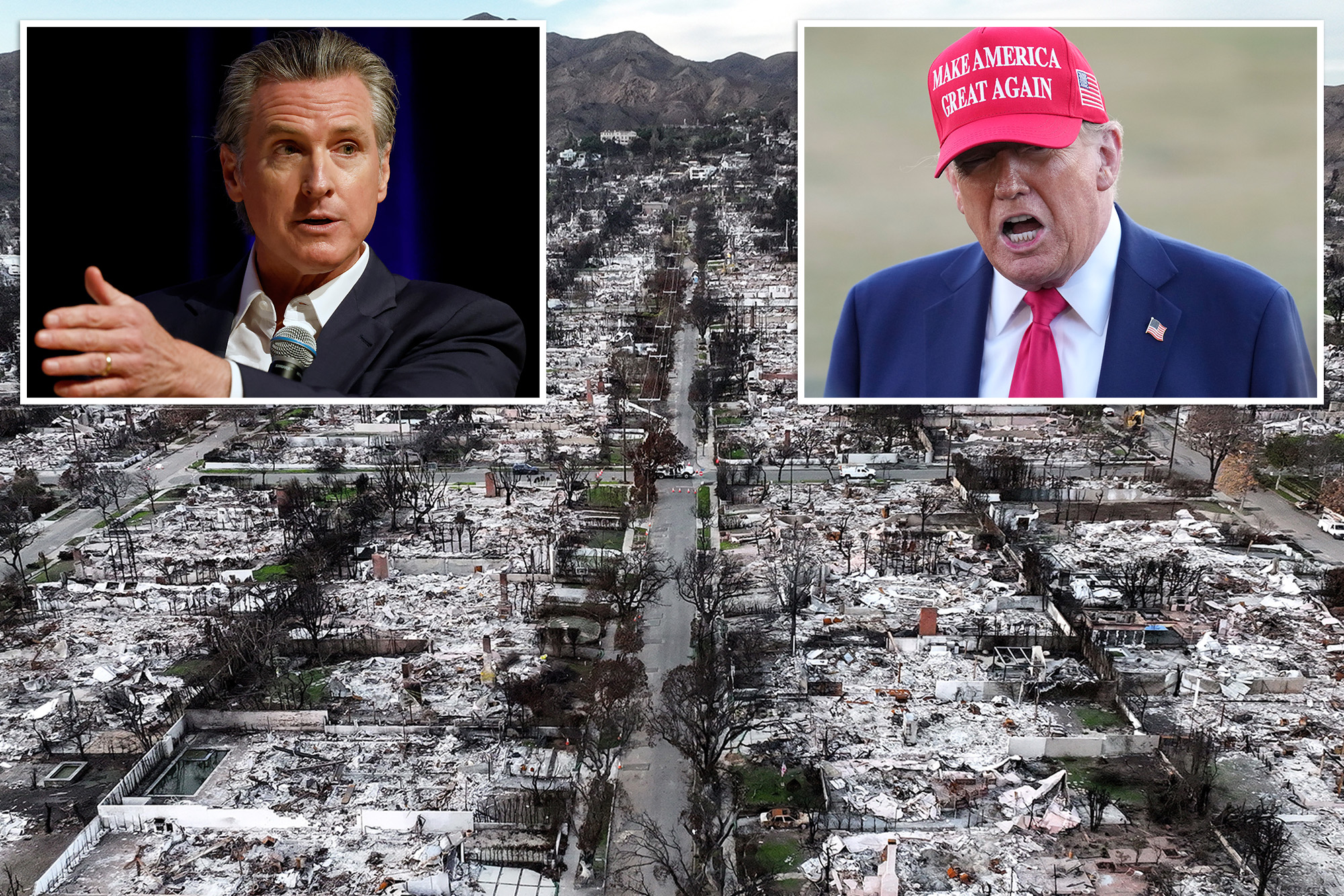 Newsom moves to clear flammable brush from California forests after ...