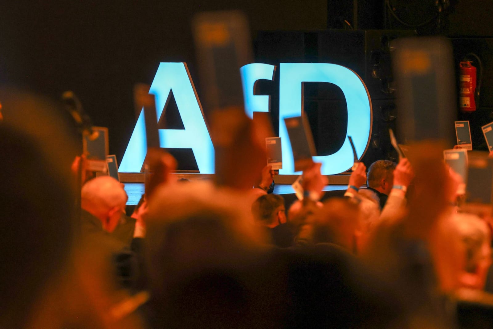 Germany's far-right AfD wants to win 45% in regional vote next year