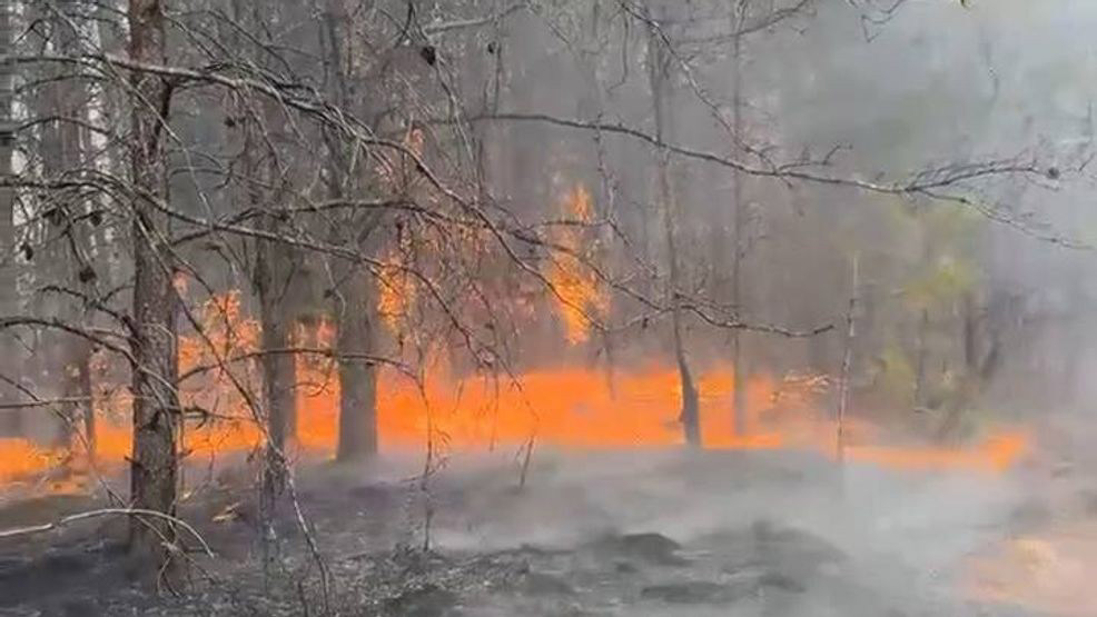 Firefighters battle multiple blazes in Appomattox following red flag ... Firefighters battle multiple blazes in Appomattox following red flag ...
