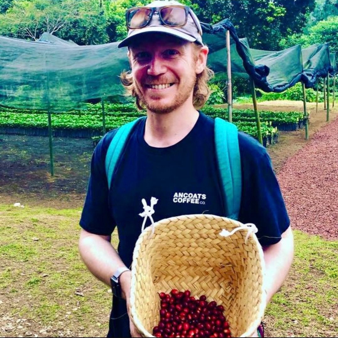 Brits took enough ketamine to tranquillise two million horses last year