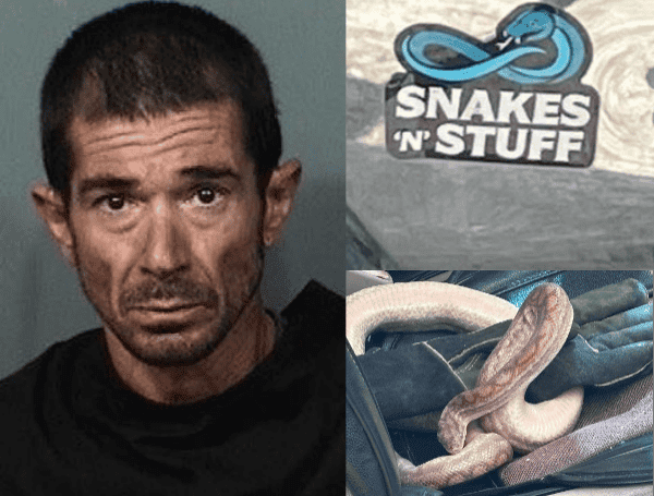 “Snakes & Stuff” Florida Man Busted For Illegal Dumping With A Slithery ...