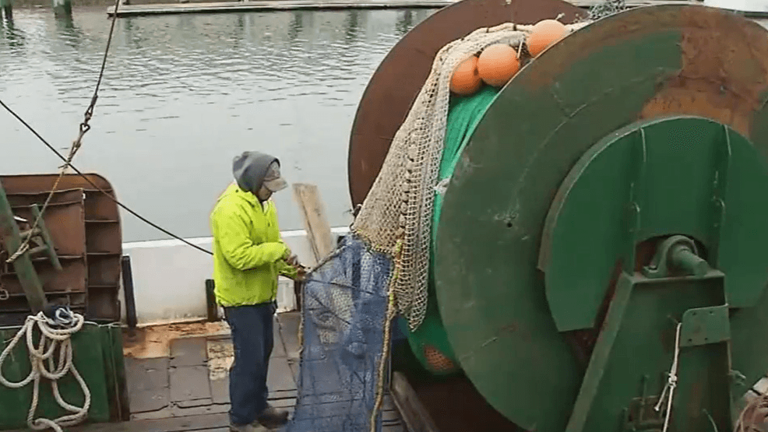 Trump administration cuts $4.5M Maine sea grant, leaving 20 employees ...