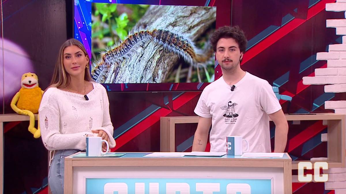 Manel Rosa partilha "experiências que são algo traumáticas com animais ...