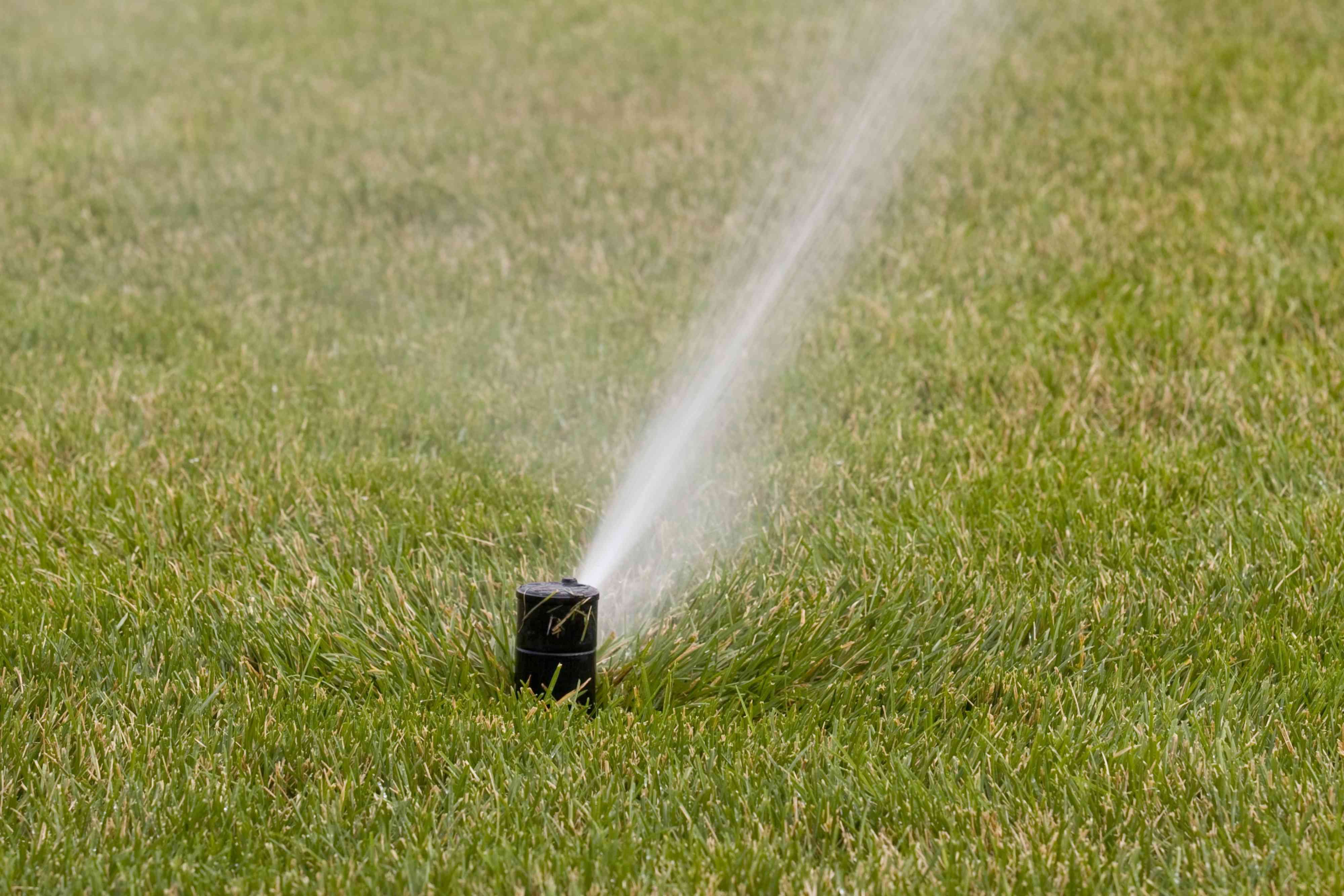 This Is When to Turn Your Sprinklers Back on in Spring, According to an ...