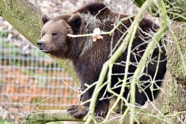 Camera Club: Animals, flowers, and beautiful locations across ...