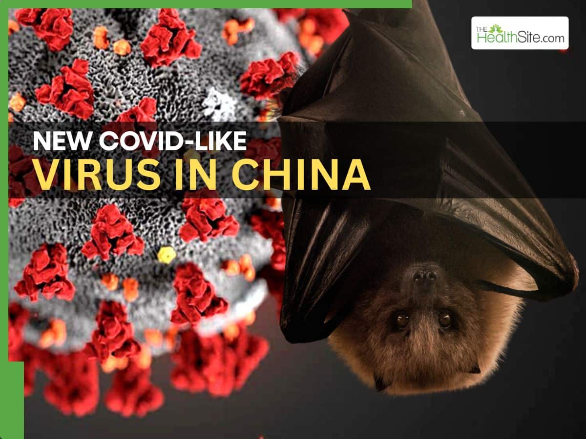 New China Virus Detected In Wuhan Lab Raises Alarm: Scientists Warn of ...