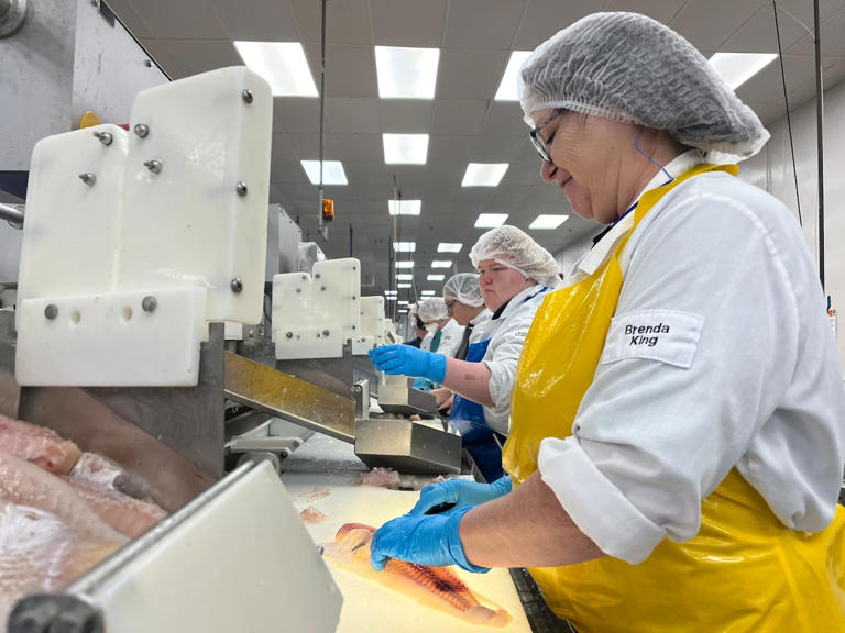 Icewater Seafoods processes northern cod from offshore N.L. for the ...