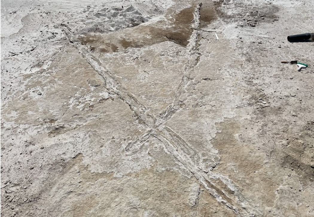 22,000-Year-Old Tracks in New Mexico Reveal Earliest Human Transport