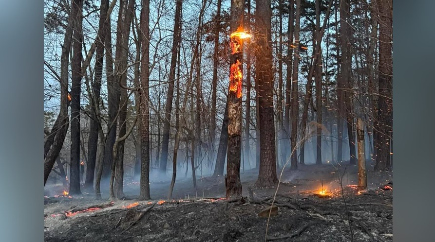 Active NC wildfires burning 600 acres in four US National Forests ...