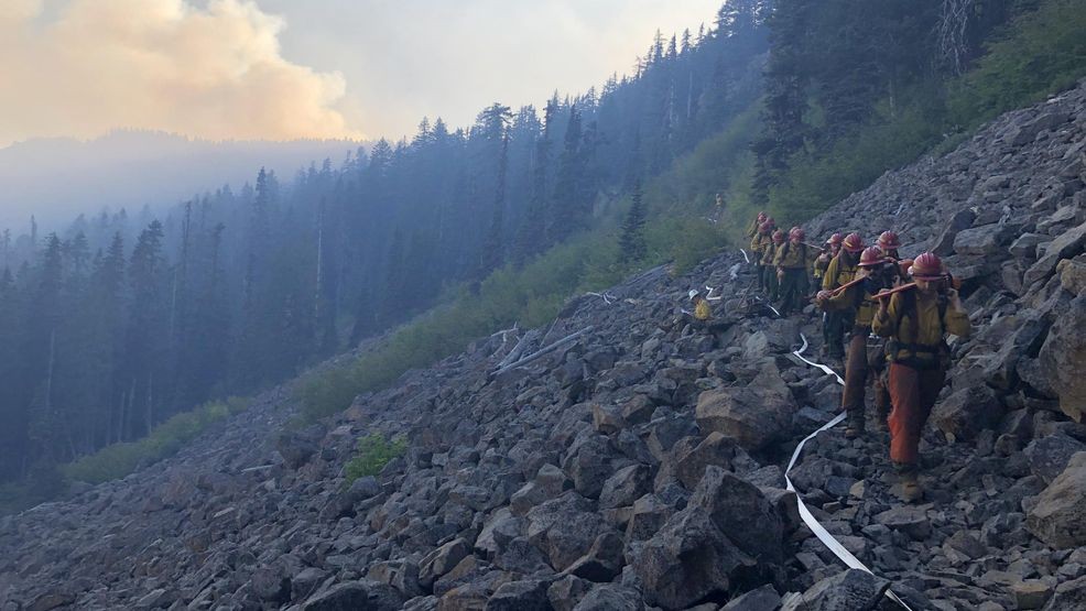 Trump administration's logging directive sparks backlash from Oregon Wild